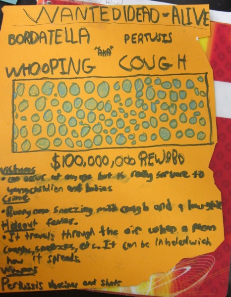 Whooping Cough Bacteria Wanted Poster How Three Women Led The Fight